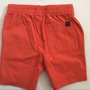 Tea Collection | Bottoms | Tea Orange Shorts | Poshmark